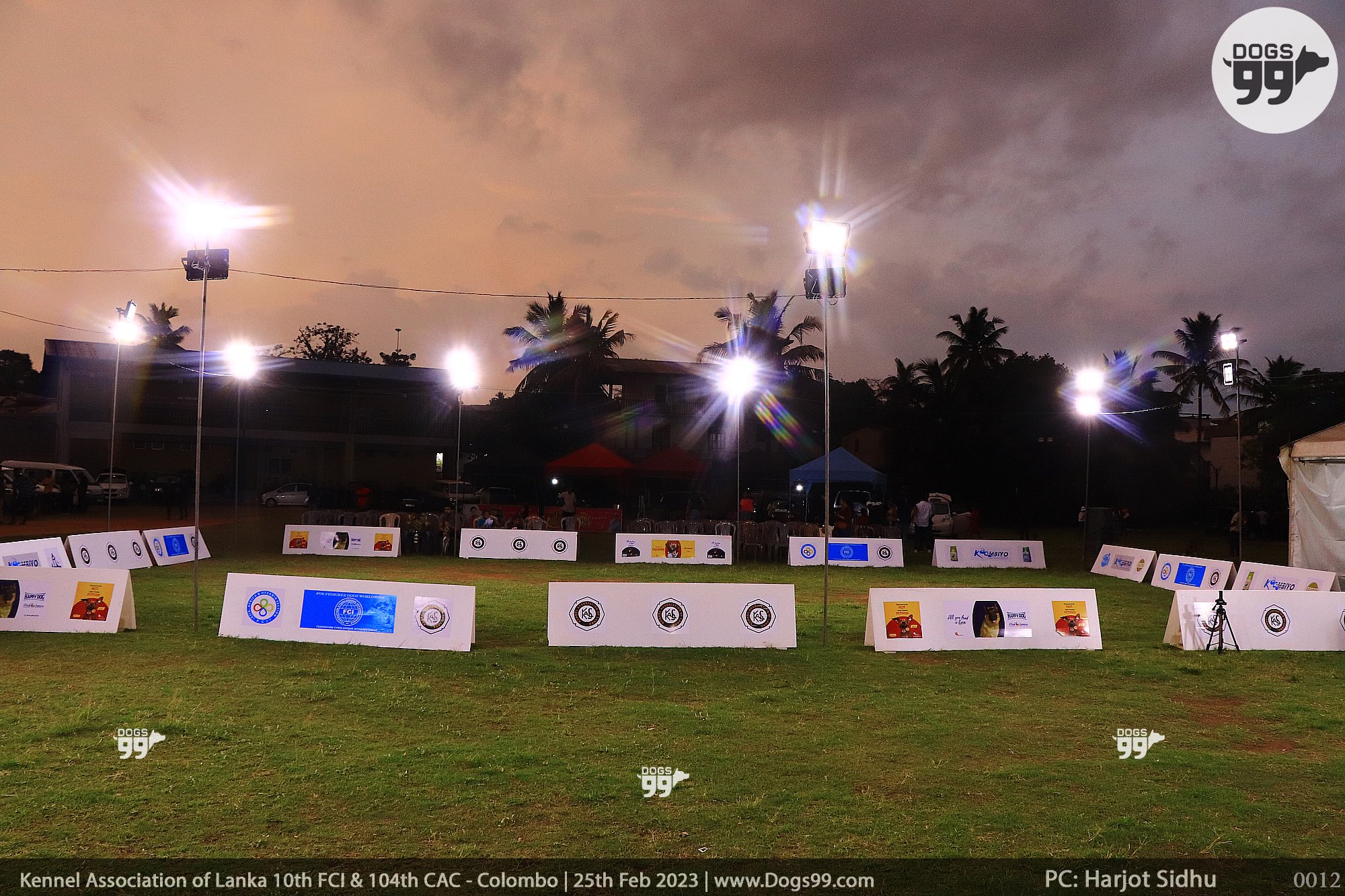 Sri Lanka Dog Show Colombo 2023 540 | Dog Shows