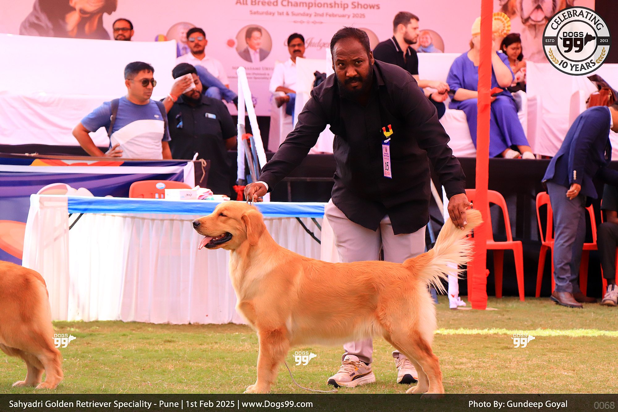 Golden Retriever Speciality Pune 2025 719 | Dog Shows