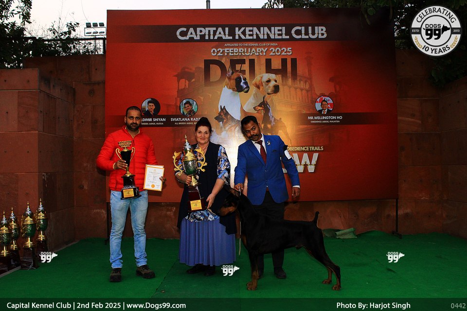 Capital Dog Show Delhi 2025 722 | Dog Shows