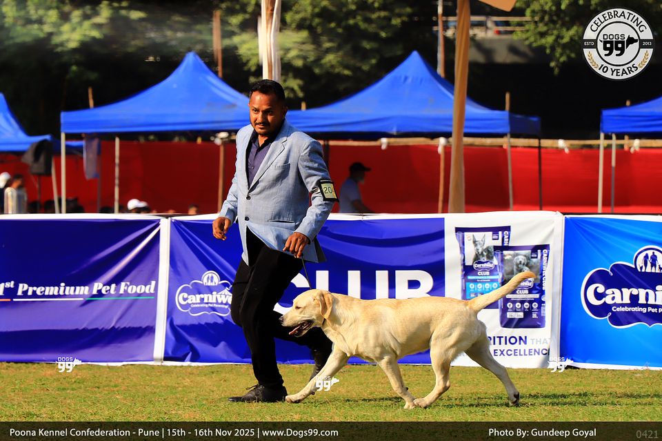 Pune Dog Show Pkc 2025 762 | Dog Shows